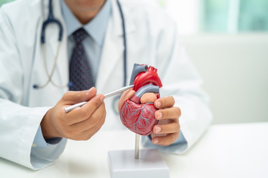 Cardiovascular and Stroke Care - NLHealthServices